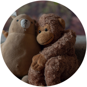 Get Involved – Child Advocacy Network